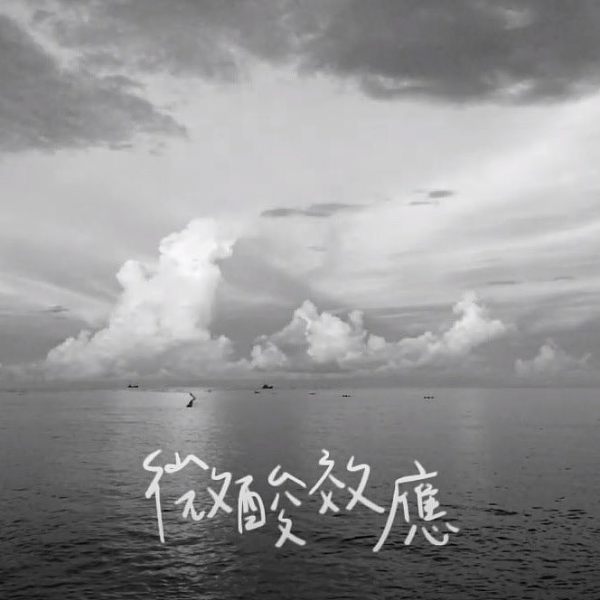 Acidulous微酸效應 | StreetVoice 街聲 - 最潮音樂社群