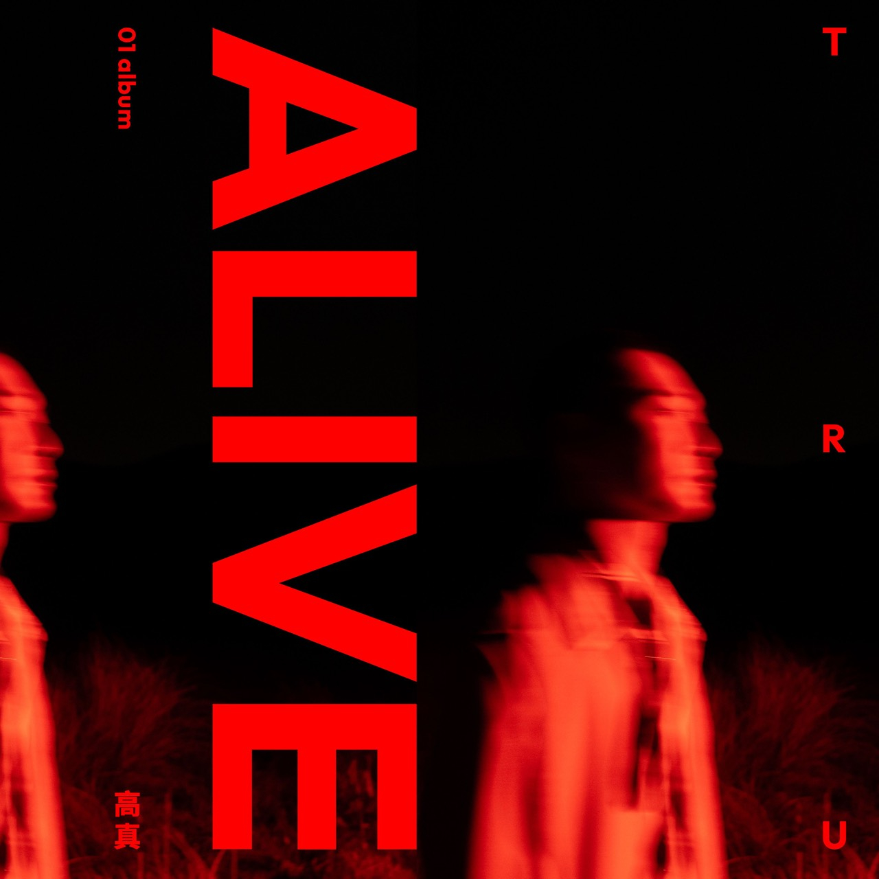 into the wild - 高真 TRU | StreetVoice 街聲 - 最潮音樂社群